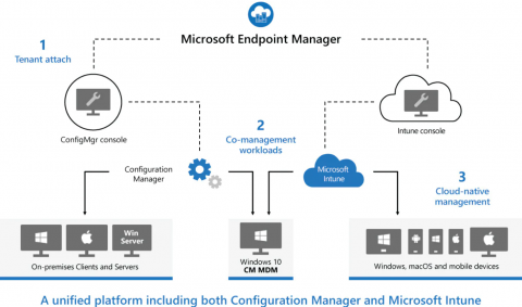 Tư vấn giải pháp Microsoft Endpoint Manager | Tư vấn và so sánh